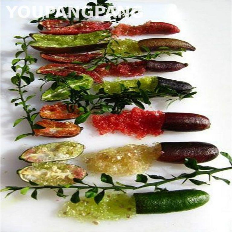 20 Ice Pink Finger Fruit Lime Pomegranate Bonsai Seeds - BuyingSeed.com ...