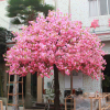Red Japanese Cherry Blossoms Bonsai Tree Flores Small Sakura Mixed ...