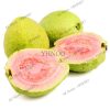 100Pcs Guava Seeds - BuyingSeed.com - Free Shipping - Up to 70% OFF